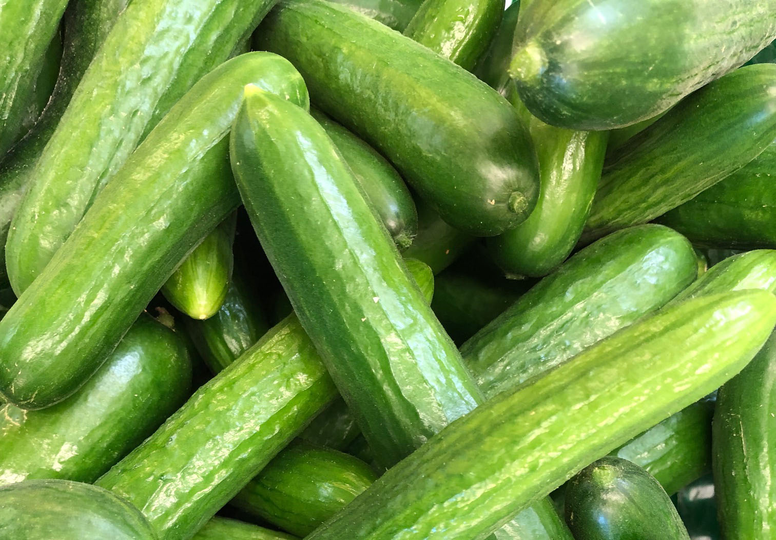 Products – Golden Eden Produce