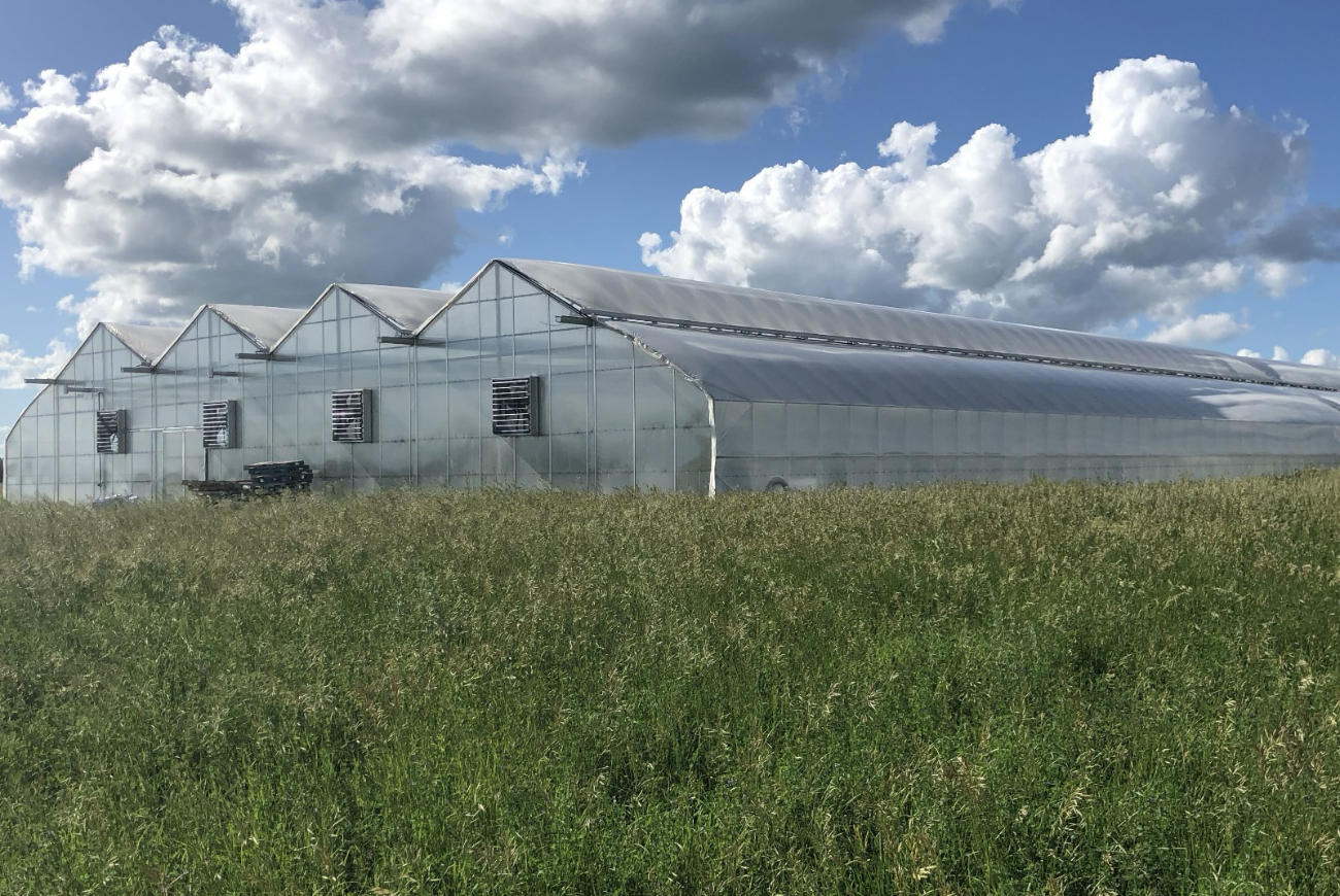 Golden Eden Produce – #GoldenEdenProduce